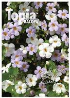 Untitled Page [www.ballcolegrave.co.uk]