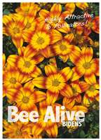 Untitled Page [www.ballcolegrave.co.uk]