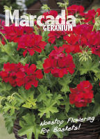 Untitled Page [www.ballcolegrave.co.uk]